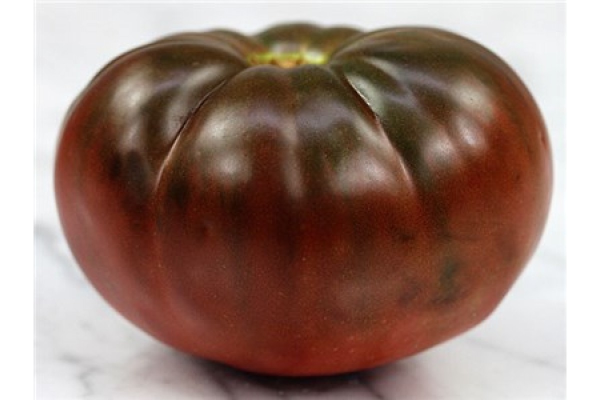 БРЕНДИВАЙН ЧЕРНЫЙ (Brandywine Black), 10 шт